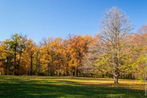 Golden autumn in the most beautiful park of Ukraine · Ukraine travel blog